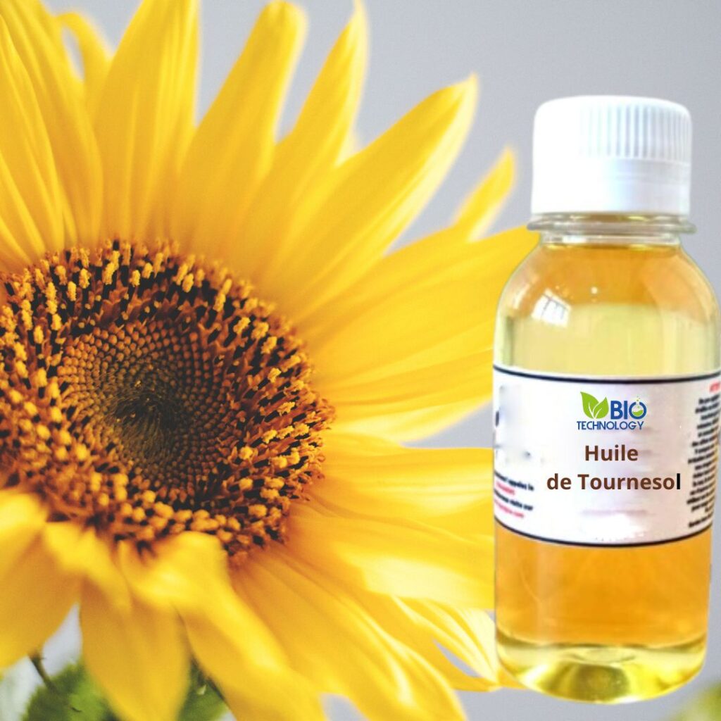 Huile de tournesol - biotechnologymaroc.com